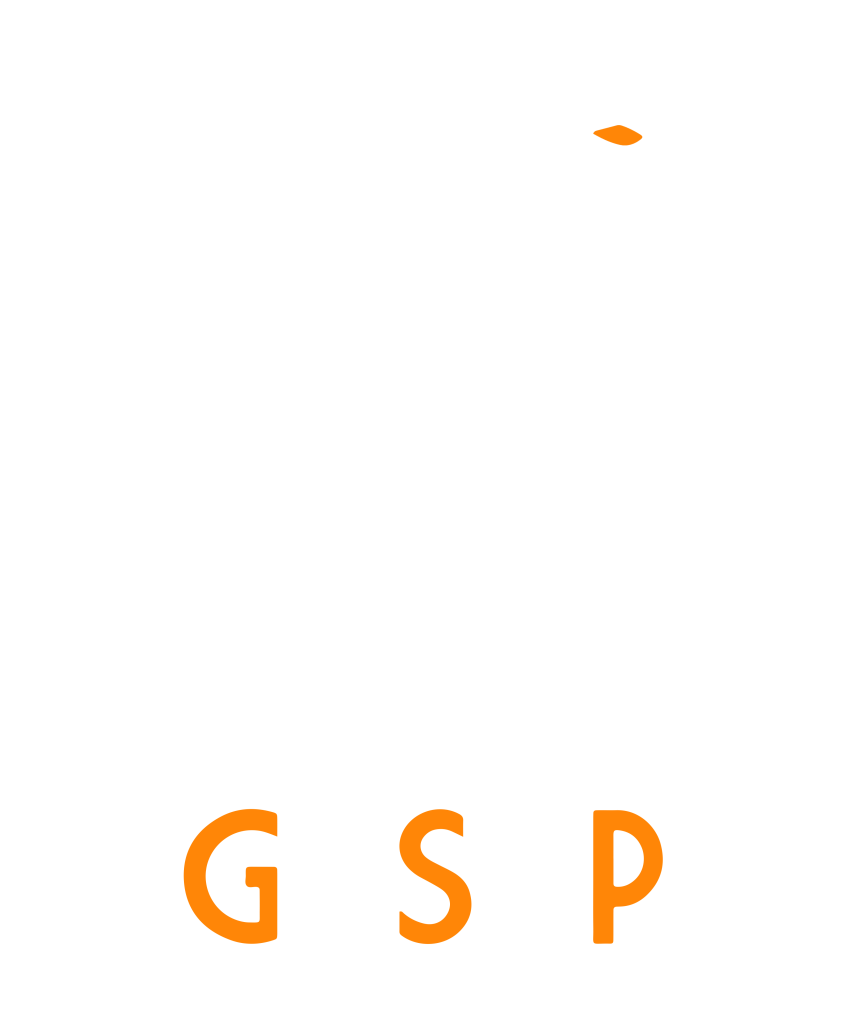 GSP Protect - Sécurité Mobile en Corse